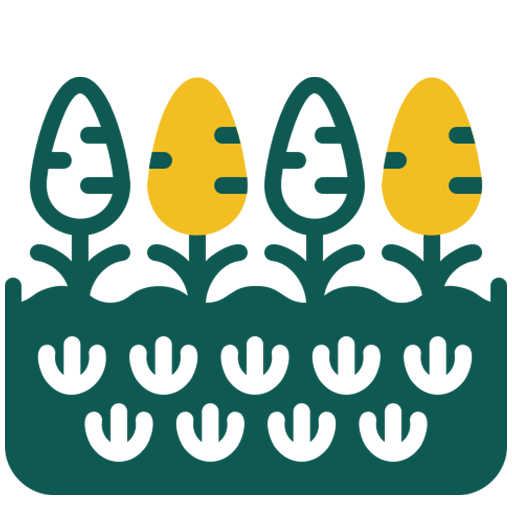 Eco Clubs For Mission LiFE